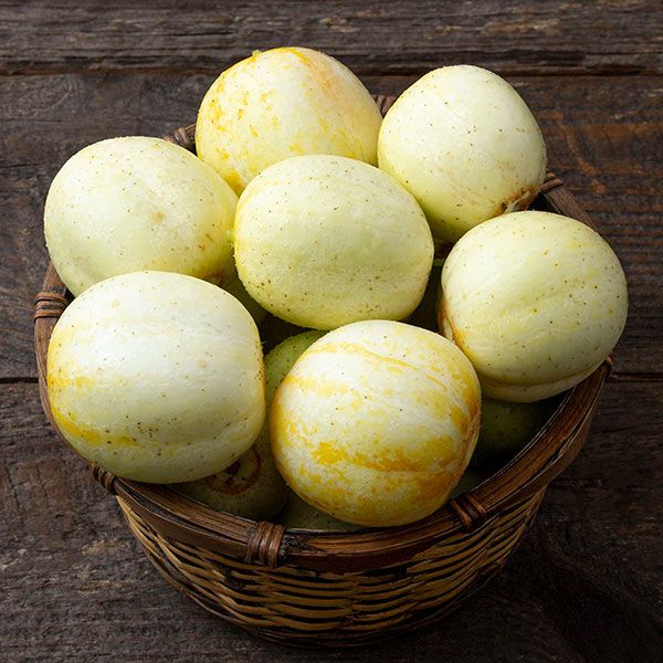 Semilla Orgánica de Pepino Limon – Semillas Orgánicas ISLA