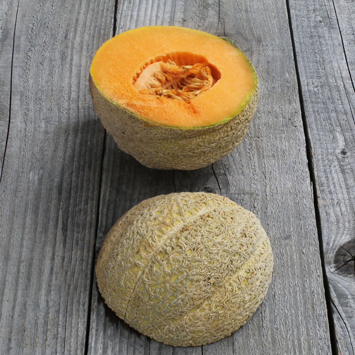 Semilla Orgánica de Melón Orgullo de Wisconsin – Semillas Orgánicas ISLA